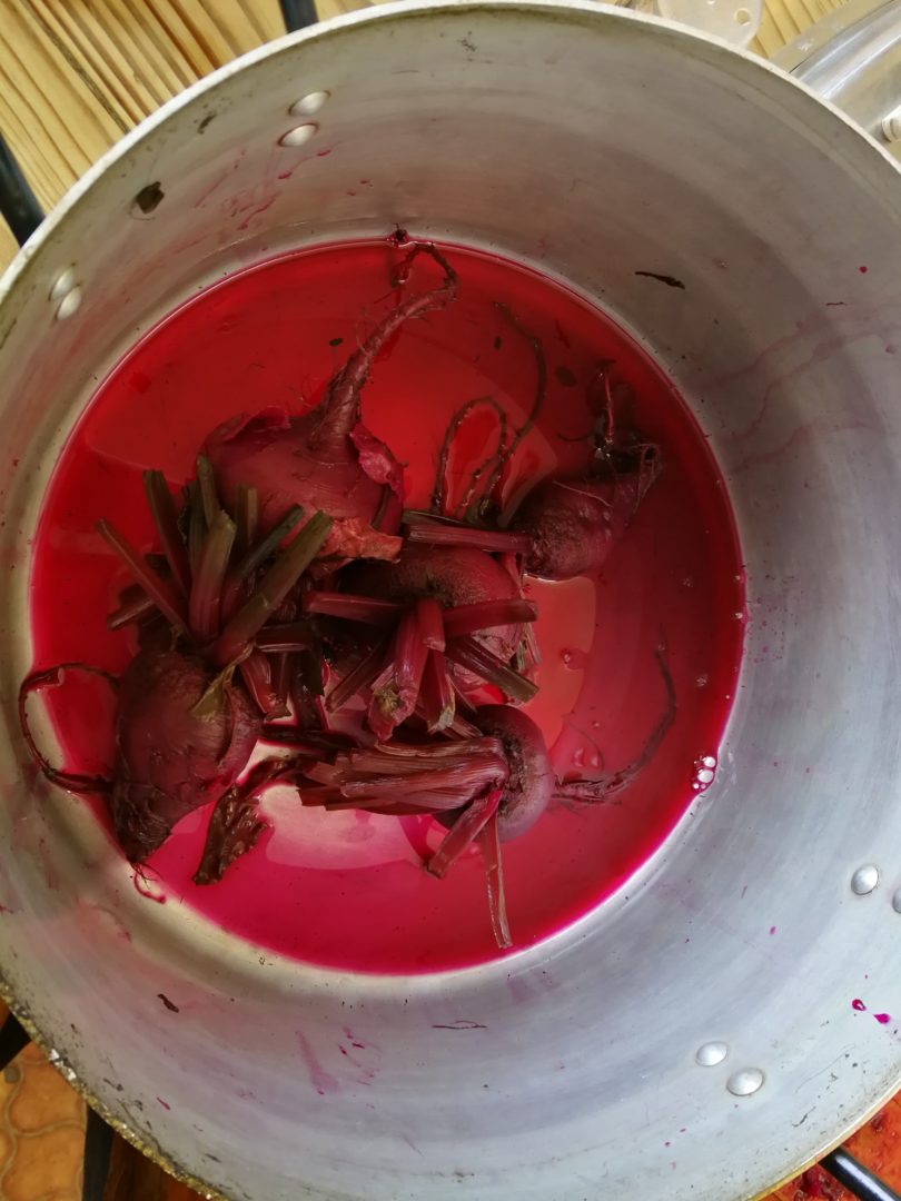 Bottling Beetroot — SA Smallholder