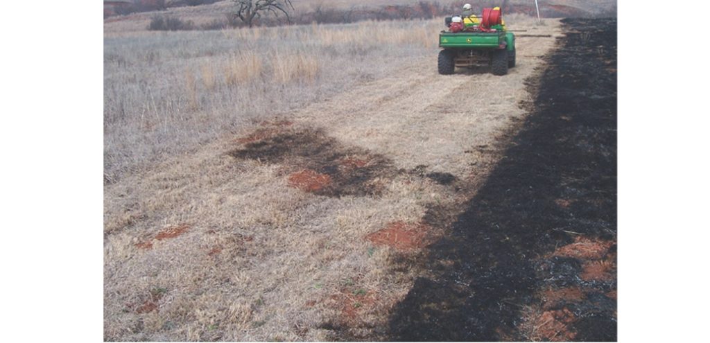 Making firebreaks in time for winter — SA Smallholder