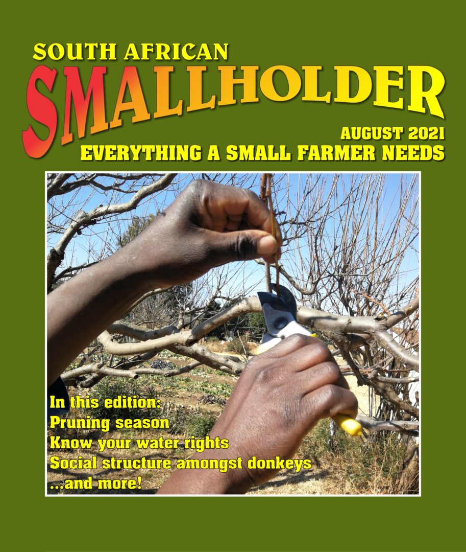 MAGAZINE ARCHIVES — SA Smallholder