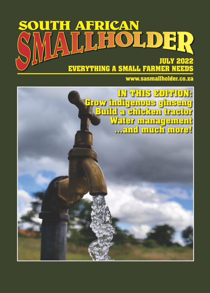 Rocket Stove: Eco-friendly Heating & Cooking — SA Smallholder