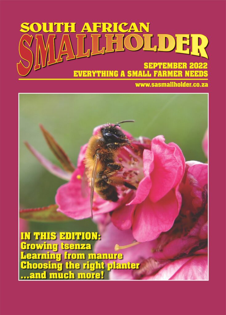 Keeping Quails For Profit — SA Smallholder