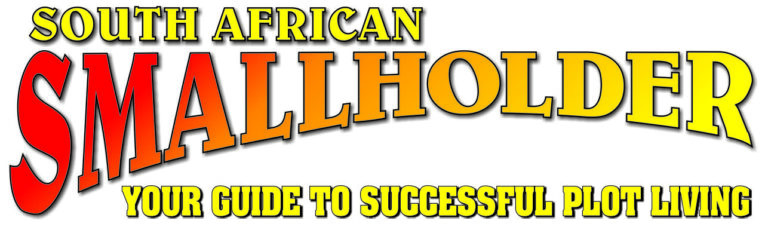 Tsenza, or Wild Potato — SA Smallholder